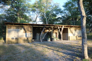 Image Gallery of Camping Botswana – Raintree Camp - Raintree Camp